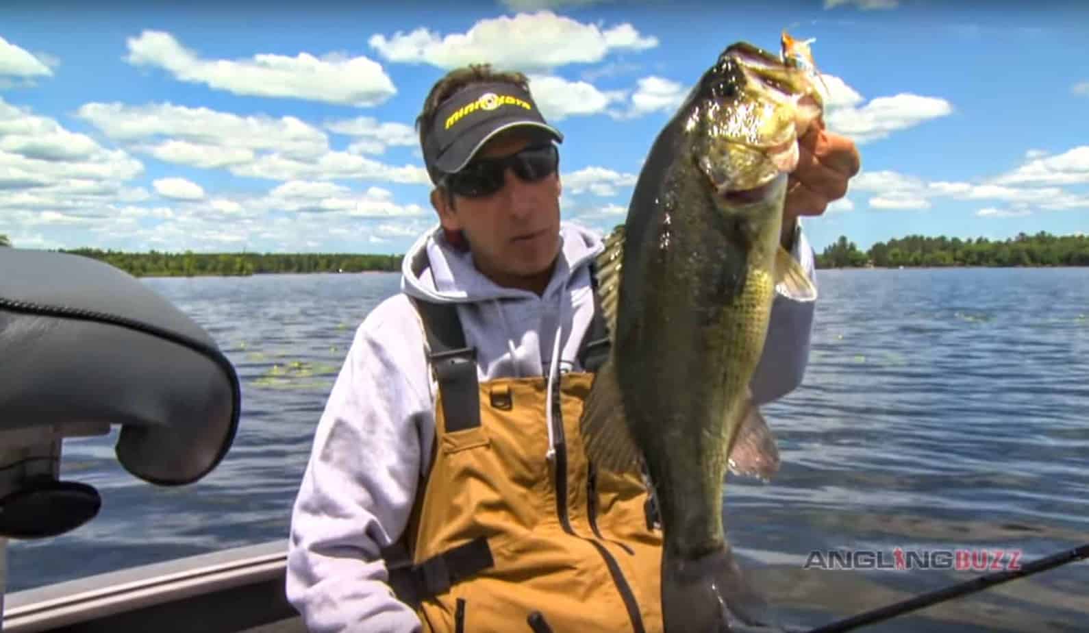 Our Favorite Bass Fishing Line And Knots | AnglingBuzz