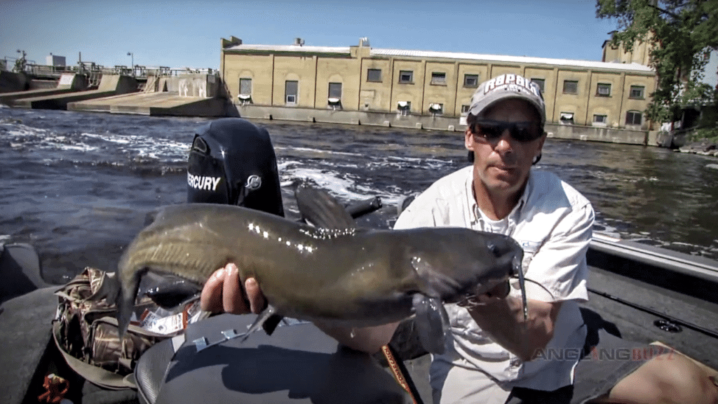 RED RIVER CATFISH | World Class Fisheries | AnglingBuzz