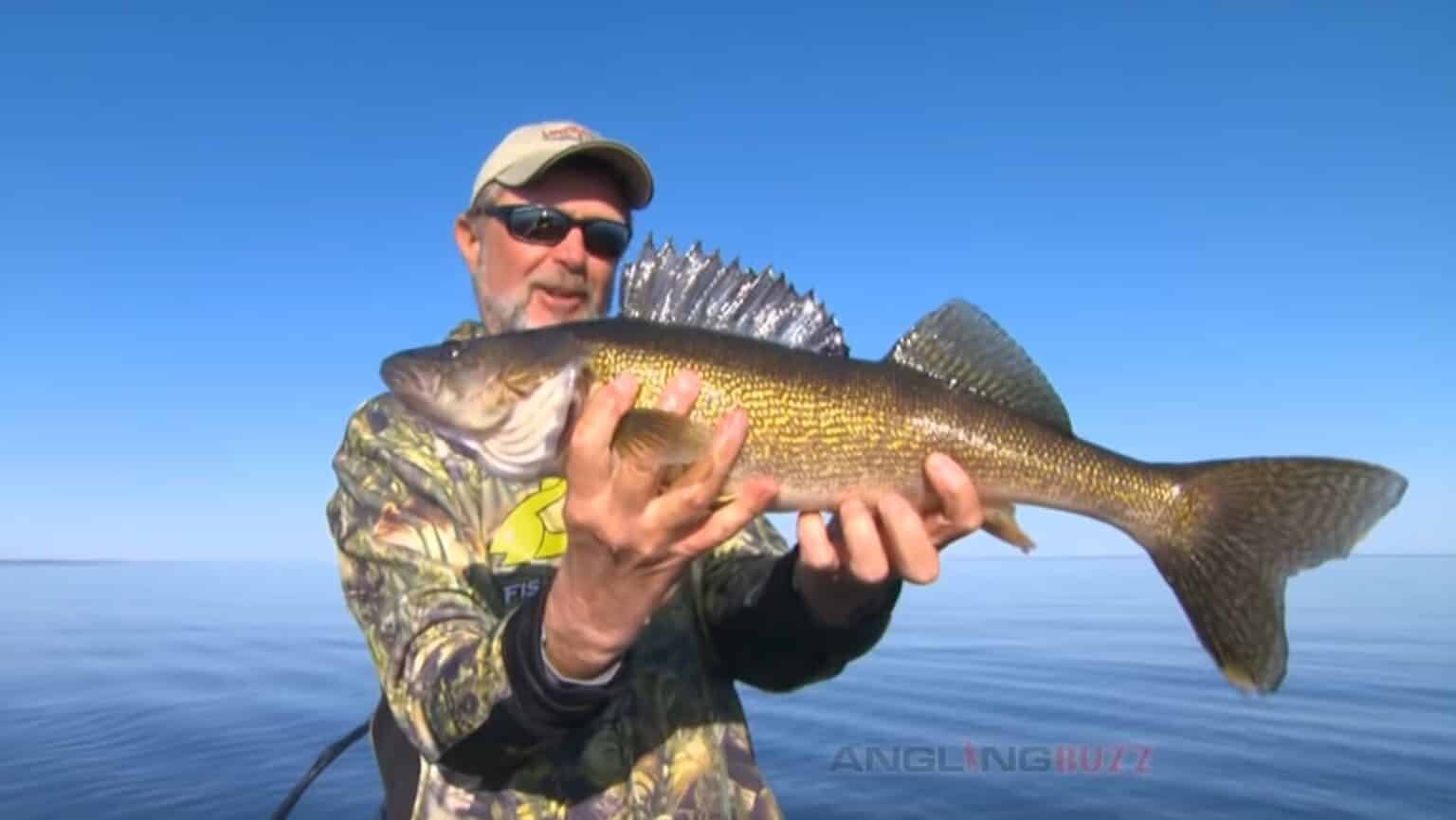 Spring Walleye Location – Mapping & Side Imaging | AnglingBuzz