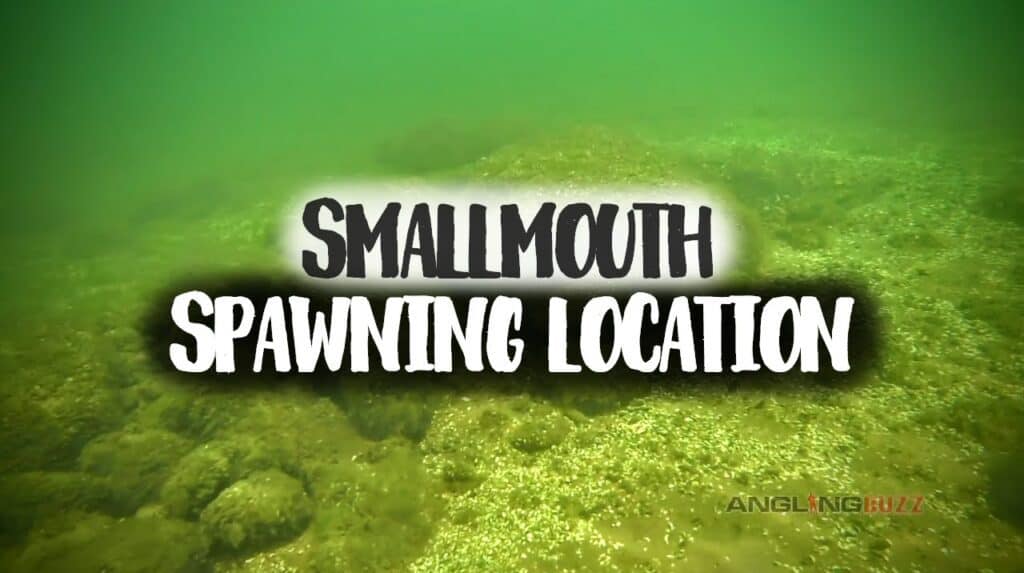 3 Multi-Species Fishing Setups That Catch Bass, Panfish, And Walleye ...
