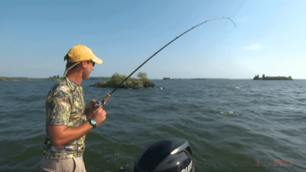 7 Best Northern Pike Rods | Pike Fishing