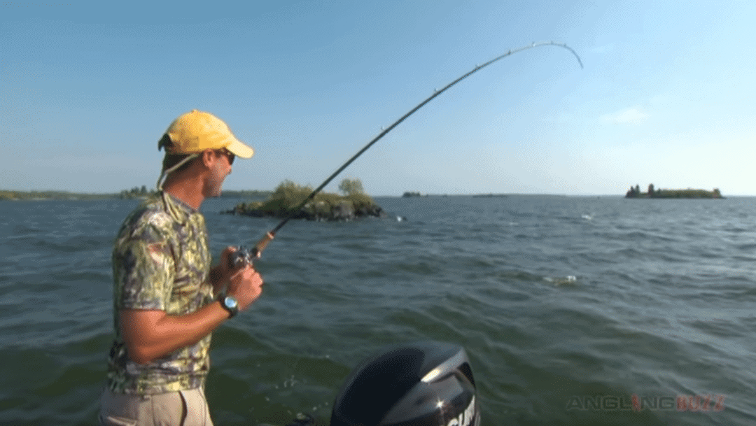 7 Best Northern Pike Rods | Pike Fishing