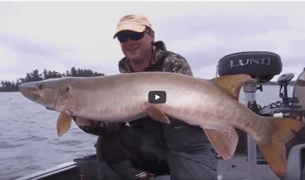 7 Best Northern Pike Rods | Pike Fishing