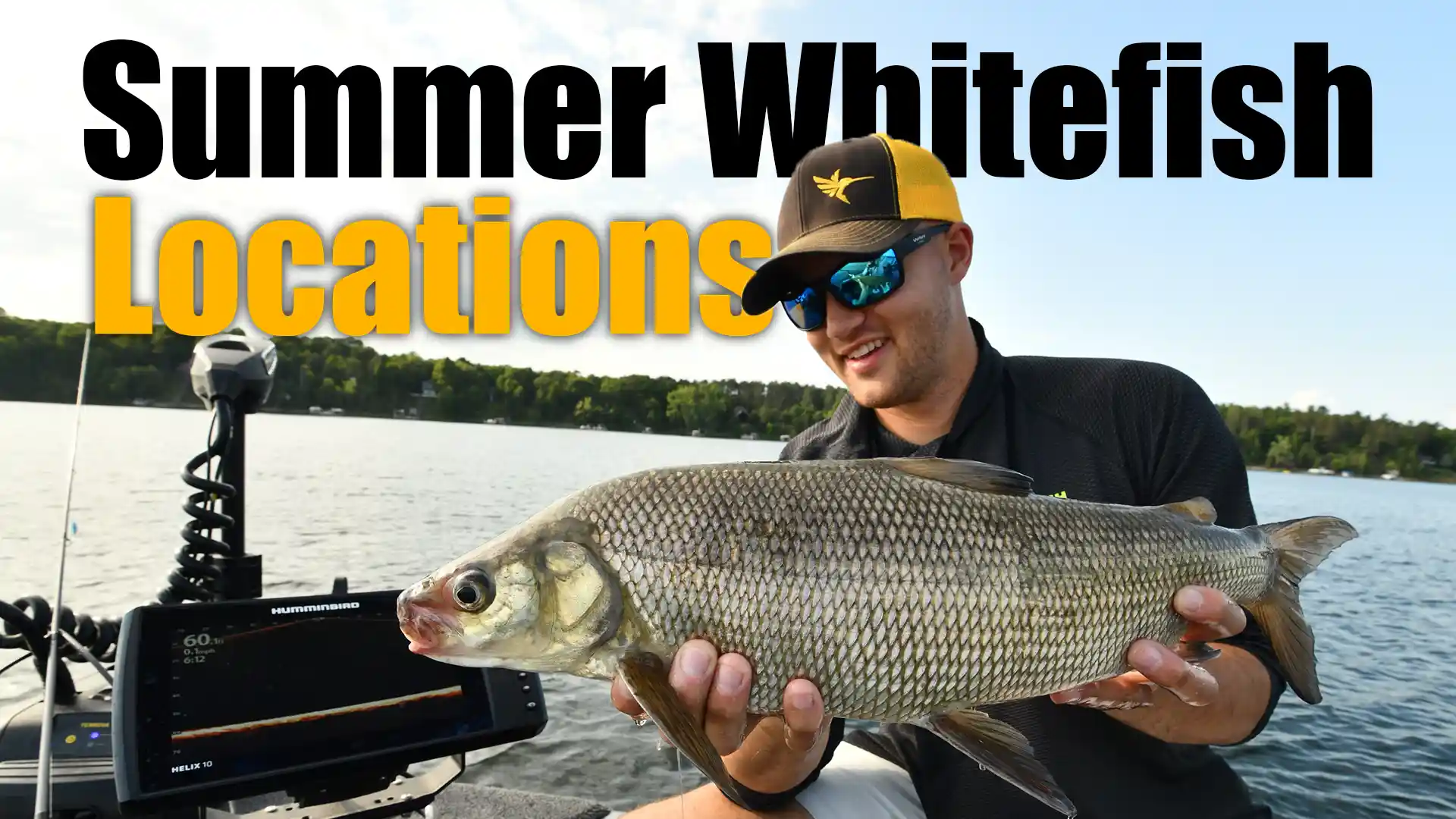 Summer Whitefish Locations | AnglingBuzz