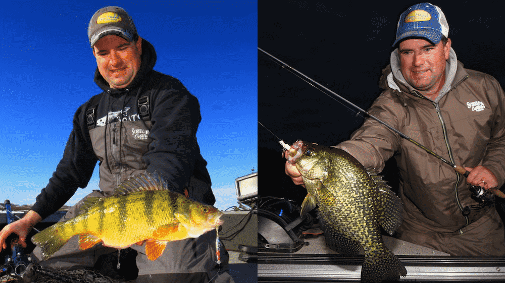 Today's Panfish Trends Angling Edge Buzz