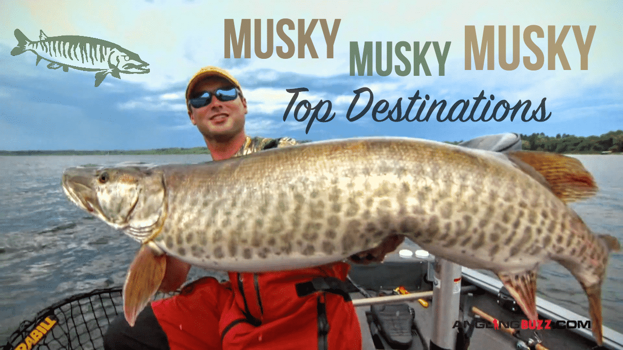Top Musky Fisheries In The Upper Midwest