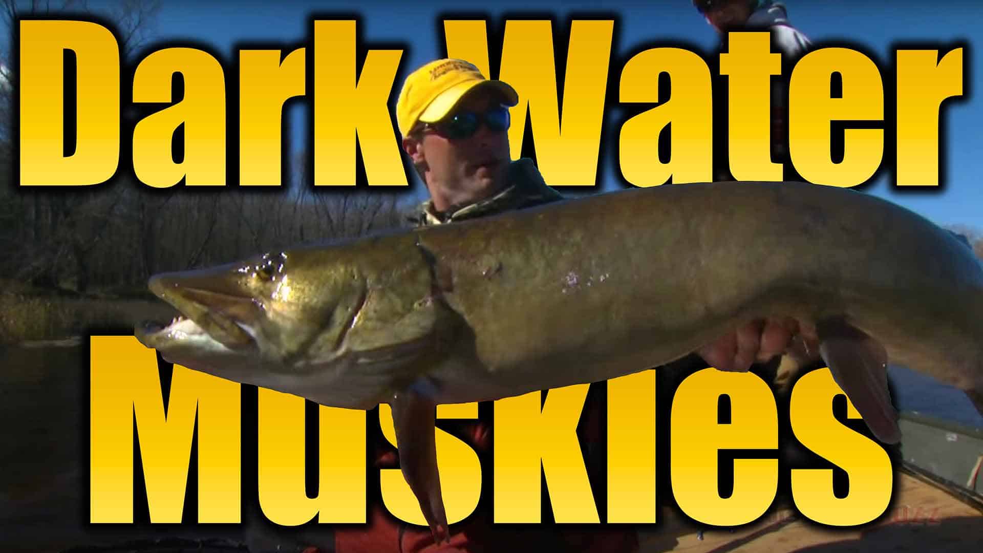 Dark-Water River Muskies In Fall | DARK WATER | AnglingBuzz