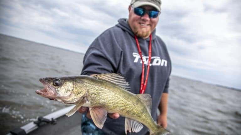 Walleye Movement Explained | MAP EXAMPLE | Angling Edge Buzz