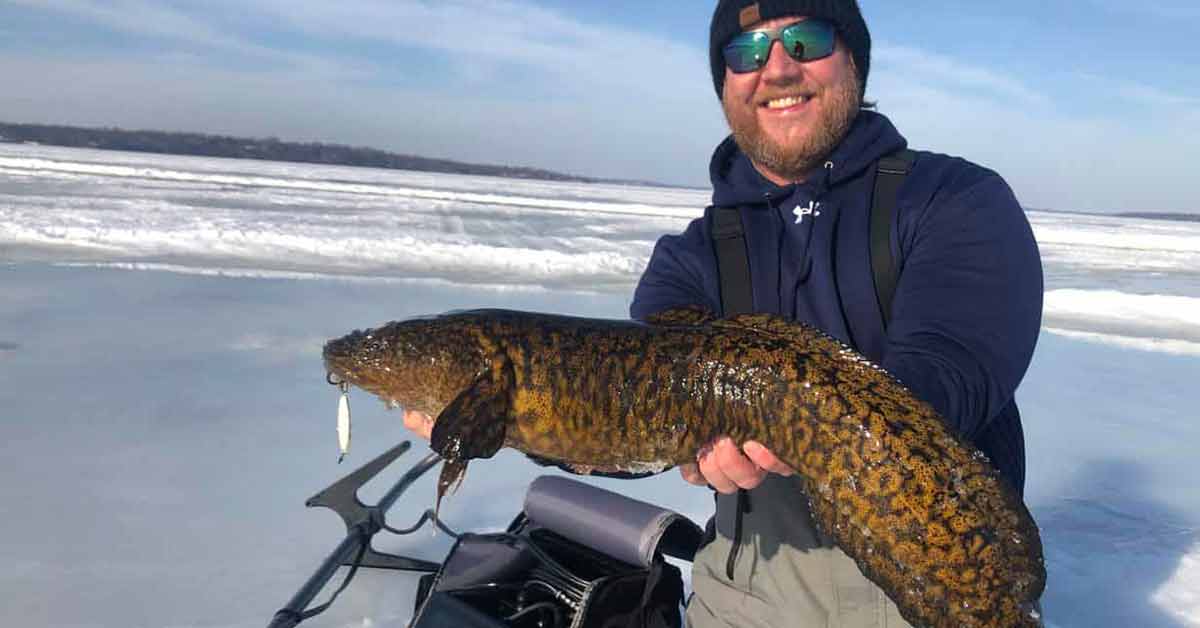 Ice Fishing Burbot