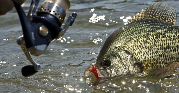 9 BEST Crappie Lakes In The Upper Midwest Angling Edge Buzz