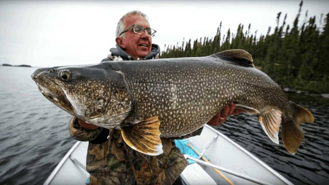 Homepage | Angling Edge Buzz