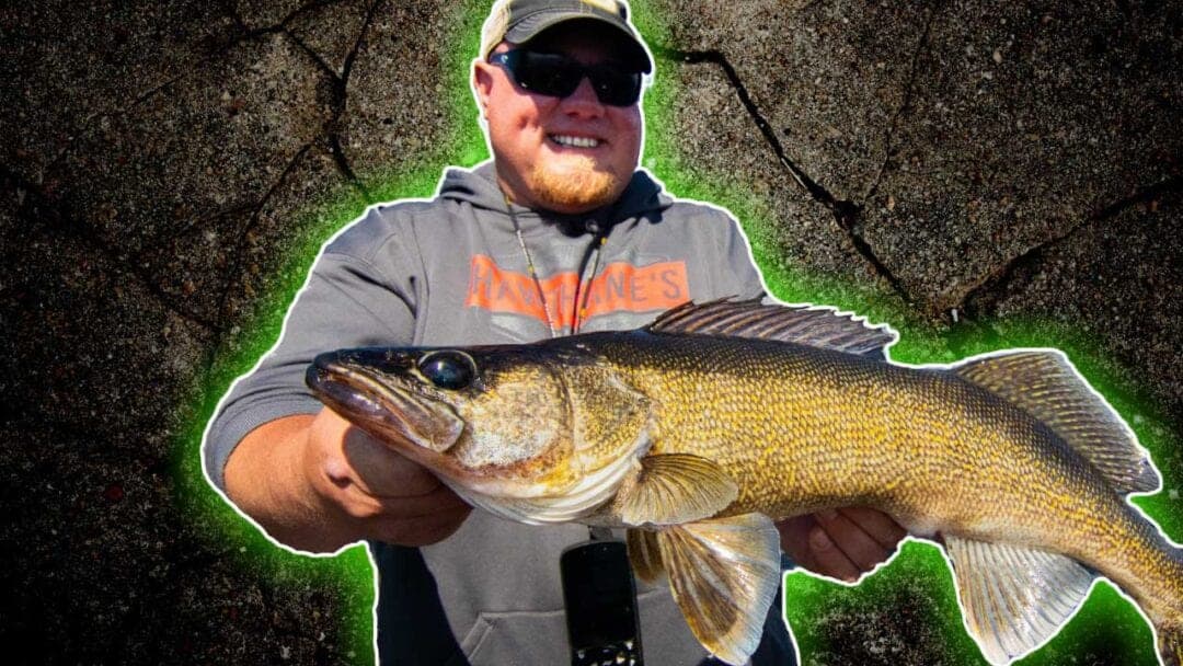 Walleye Crankbait Colors | NIGHT AND DAY | ANGLINGBUZZ