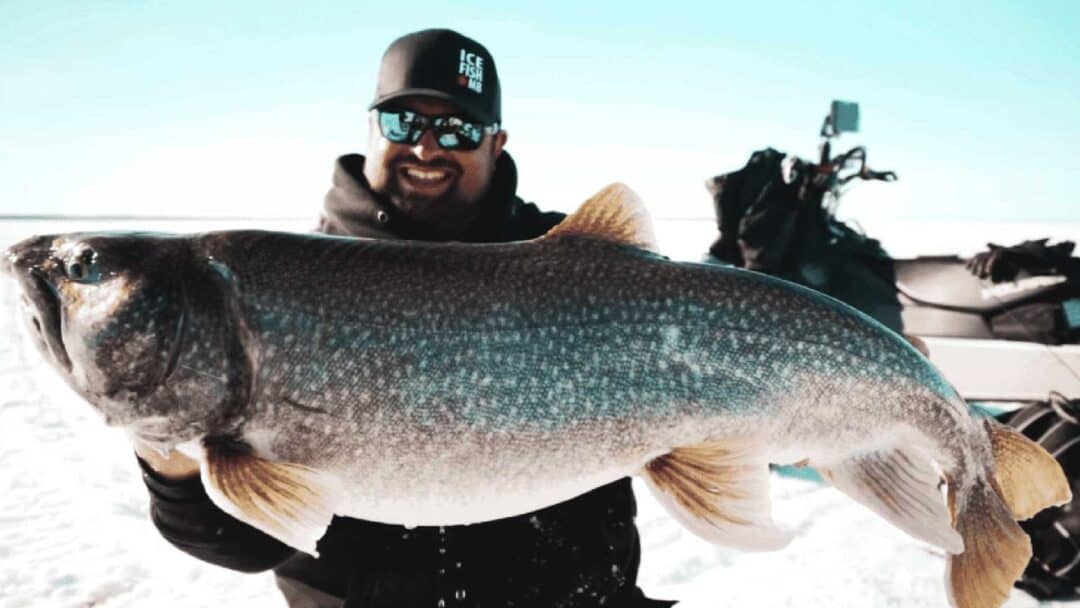 Super-Sized Lake Trout On Manitoba's Athapap Angling Edge Buzz