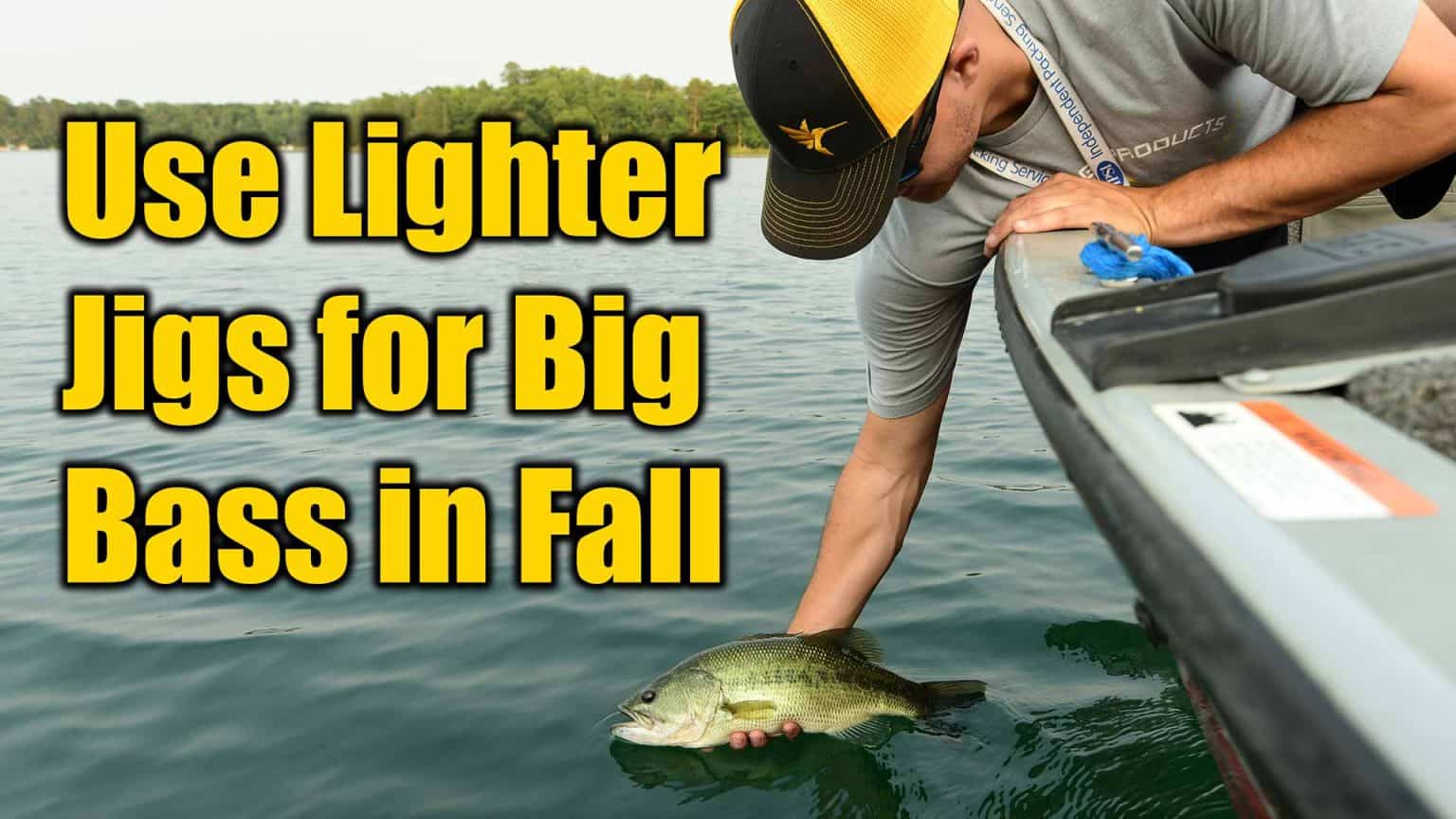 Best Bass Rods Under $100 | Bass Gear | Angling Edge Buzz