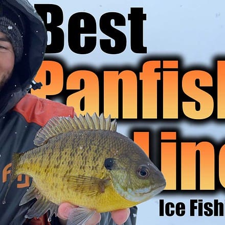 The Best Panfish Line For Ice Fishing Angling Edge Buzz