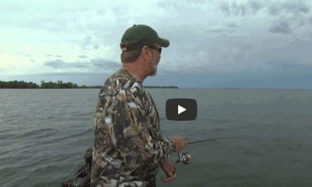 Ned Rigging Walleyes: Proven Techniques For Exciting Catches 2025
