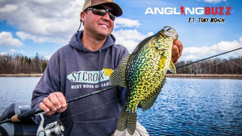Fishing Made Easy – AnglingBuzz Television Show