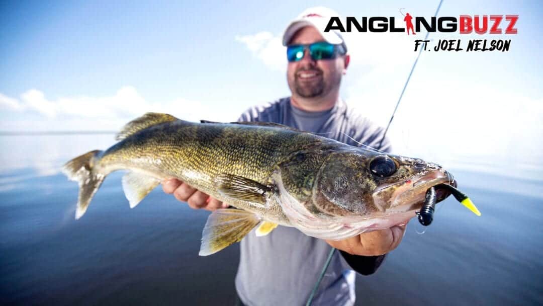 Modern Electronics – AnglingBuzz TV | AnglingBuzz