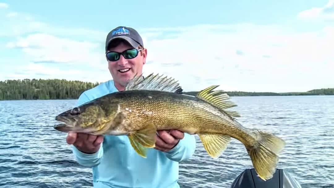 Shallow Water Walleye Tips | WALLEYE EXPERT TIPS | AnglingBuzz
