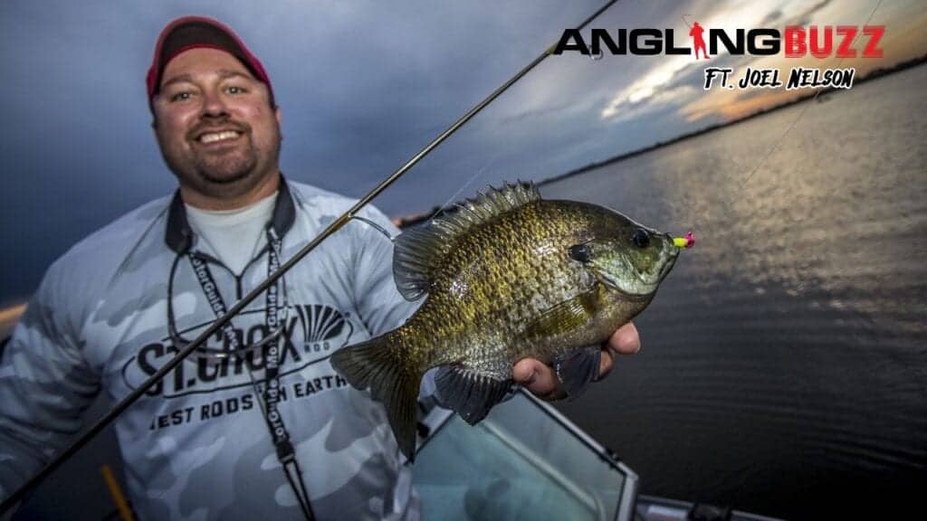 Summer Panfish Bonanza | Angling Edge Buzz TV