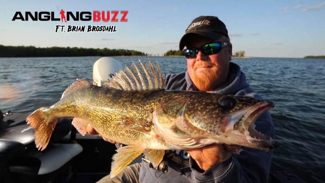 Timely Fishing Techniques – AnglingBuzz TV | Angling Edge Buzz