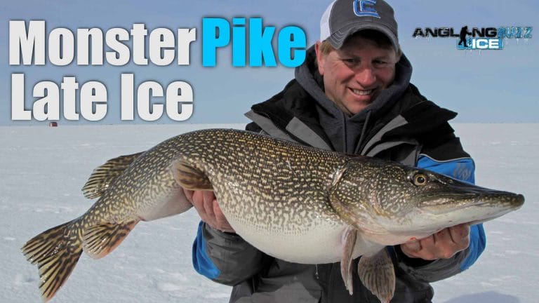 How To Tip-Up Fish For Northern Pike Angling Edge Buzz