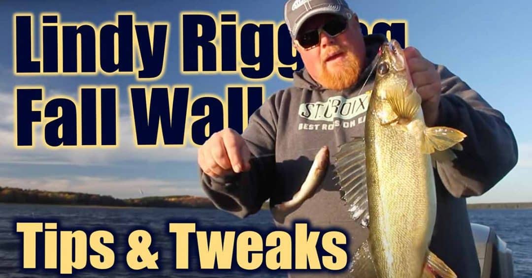 Lindy Rigging Fall WALLEYE: Tips & Tweaks Angling Edge Buzz 2025