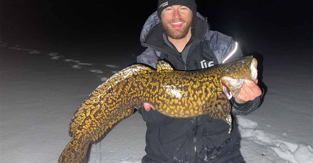 Cooking And Cleaning Burbot Angling Edge Buzz