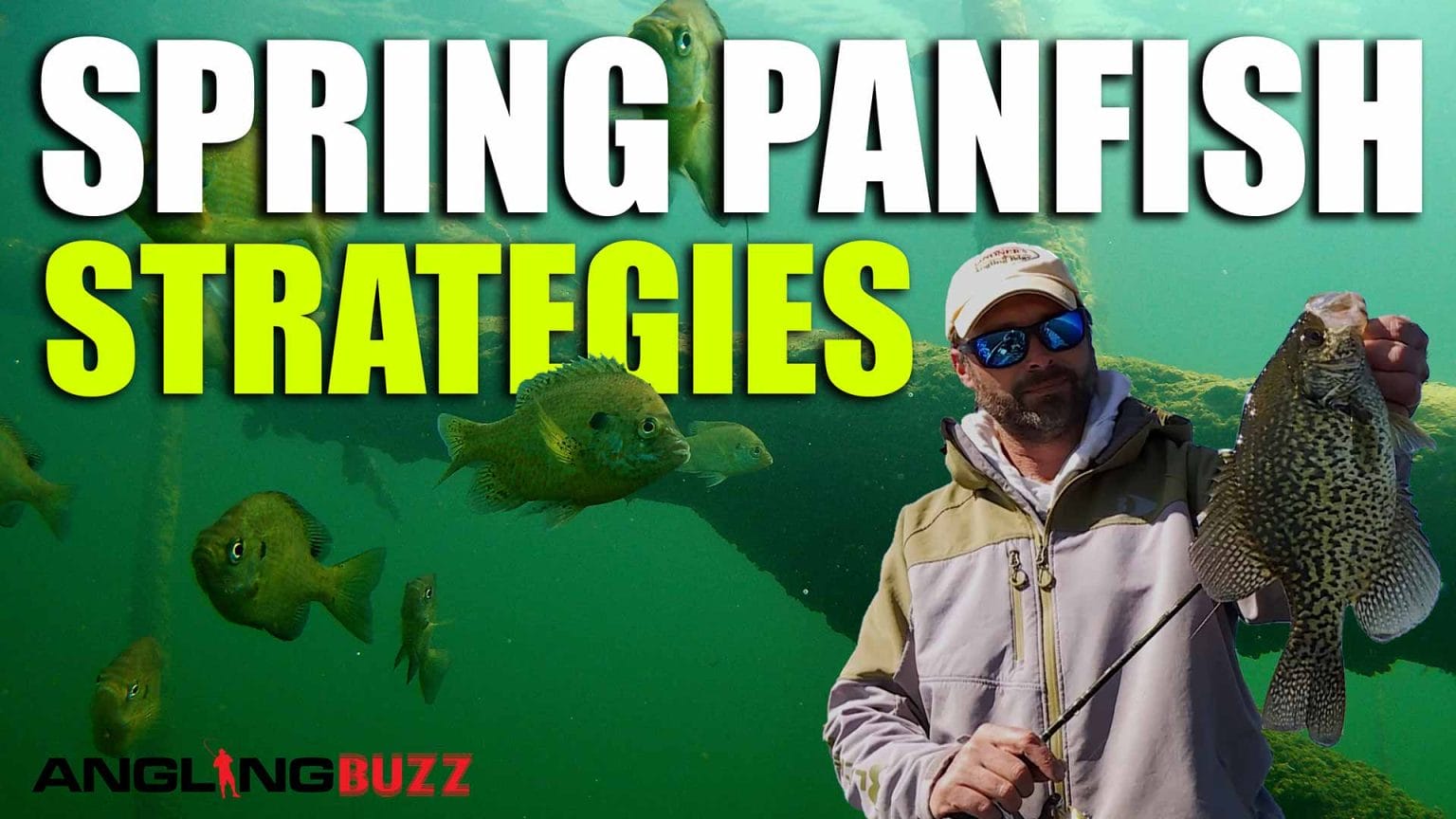 AnglingBuzz Show 1: Spring Panfish Strategies Angling Edge Buzz