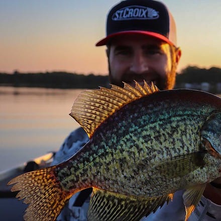 PANFISH | Angling Edge Buzz