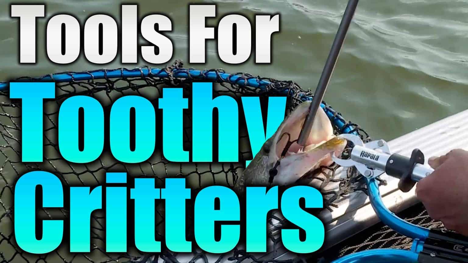 Tools For Handling Fish: Toothy Critters | Angling Edge Buzz