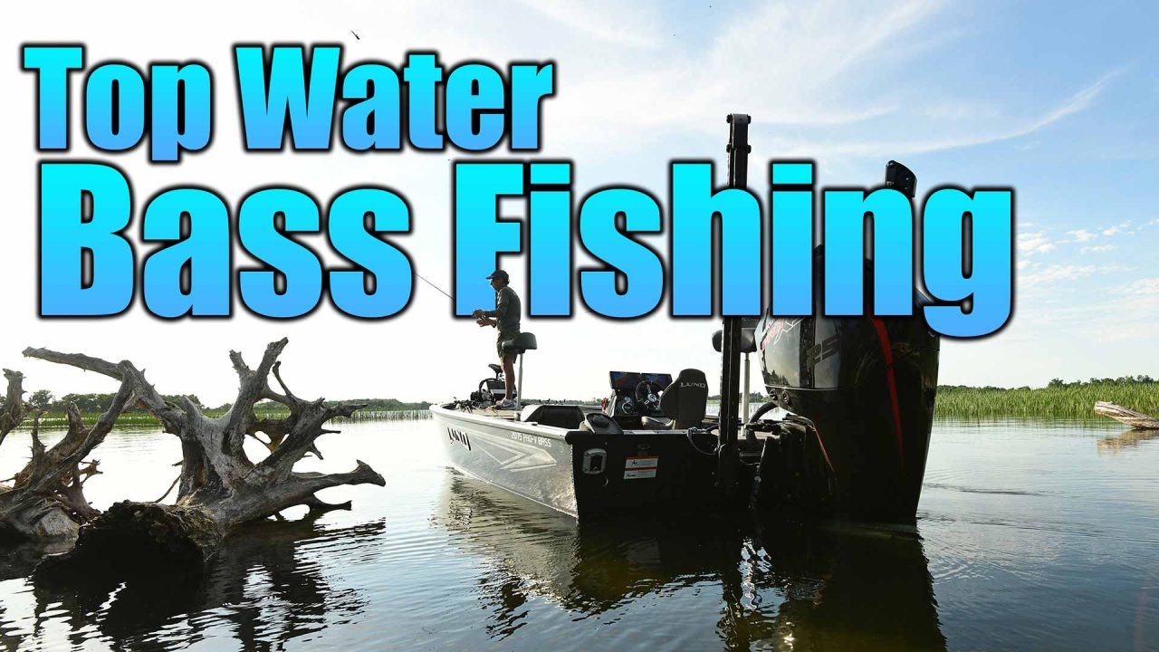 TOPWATER BASS FISHING | Bass On Top | AnglingBuzz 2025