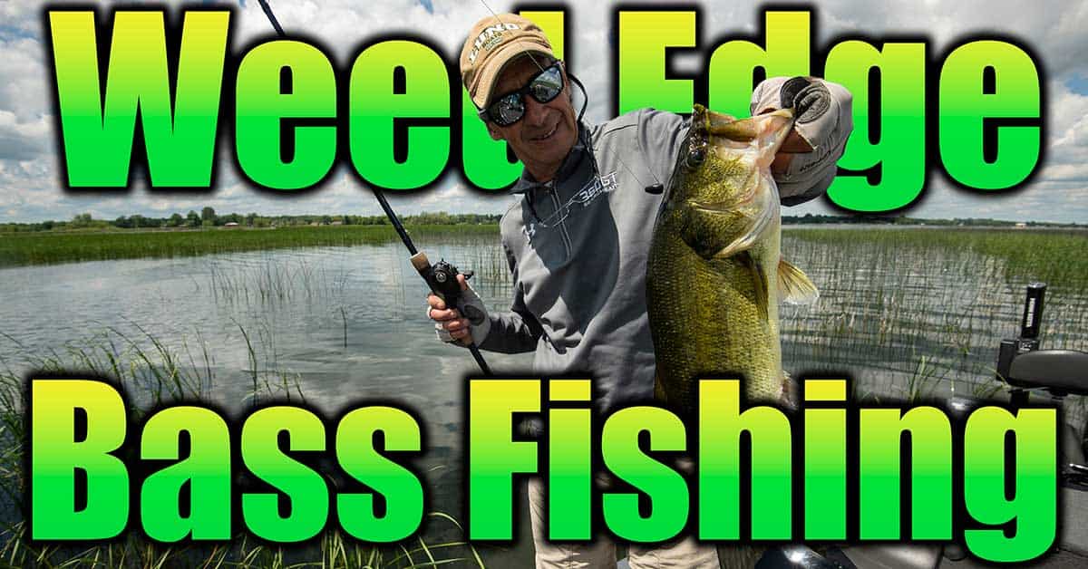 Weed Edge Bass Fishing | Angling Edge Buzz