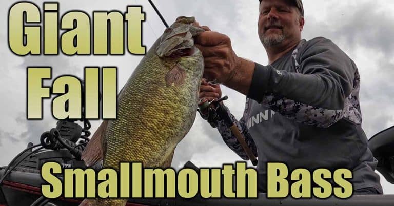 Best Bass Rods Under $100 | Bass Gear | Angling Edge Buzz