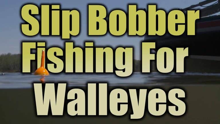 Slip Bobber Fishing Walleye With Live Bait | SLIP BOBBERS | AnglingBuzz