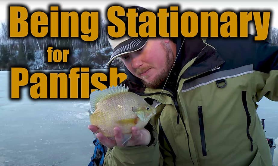 3 Tips On Jigging For Panfish Angling Edge Buzz