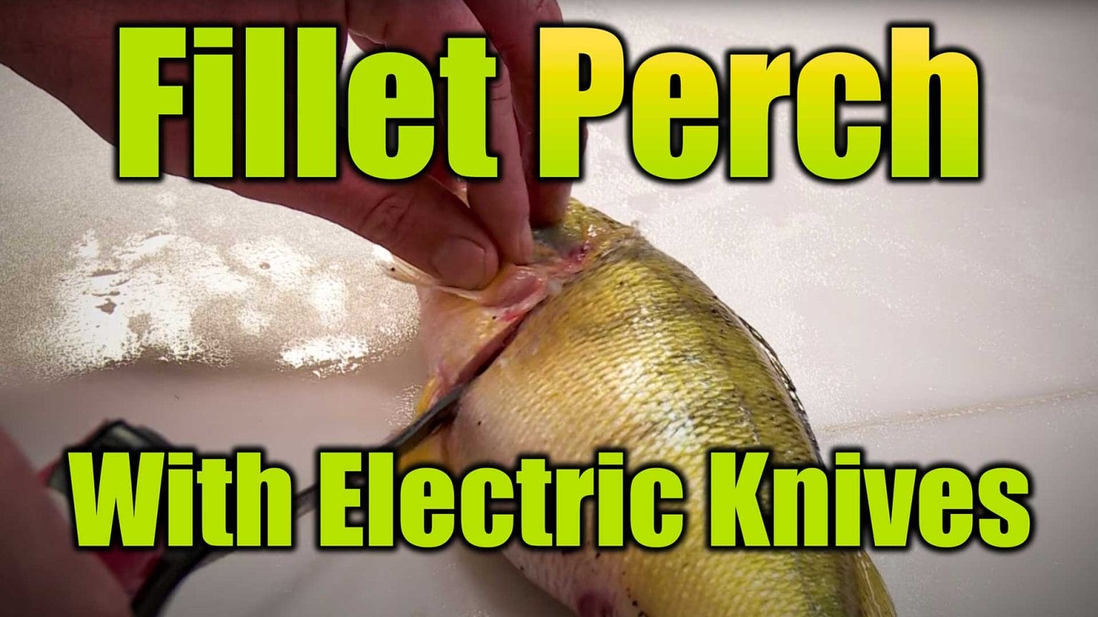 Fillet Pike With NO BONES: Step-by-Step Angling Edge Buzz