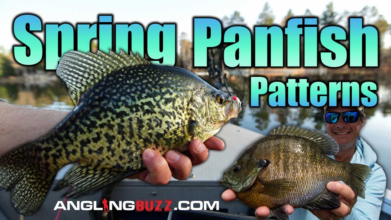 AnglingBuzz Show 1: Spring Panfish Patterns | Angling Edge Buzz