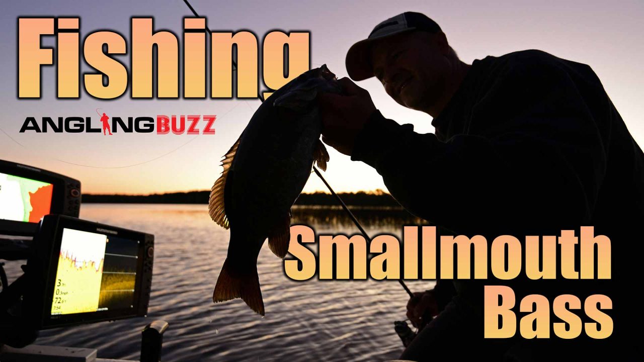 AnglingBuzz Show 9: Summer Smallmouth Bass Fishing Angling Edge Buzz