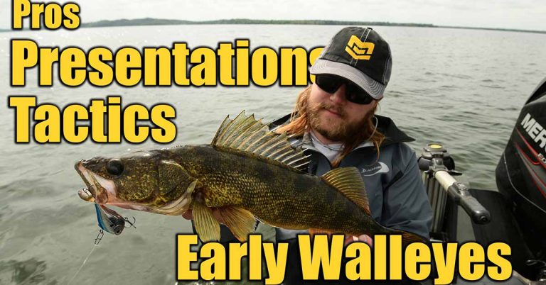 4 Simple Approaches To Walleye Fishing Angling Edge Buzz