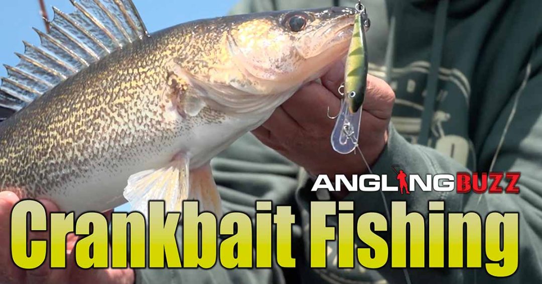 AnglingBuzz Show 11: Crankbait Fishing Angling Edge Buzz