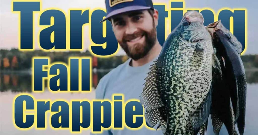 Targeting Fall Crappies | Crappie Tactics | Angling Edge Buzz