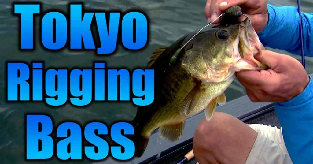 Tokyo Rigging Bass Angling Edge Buzz