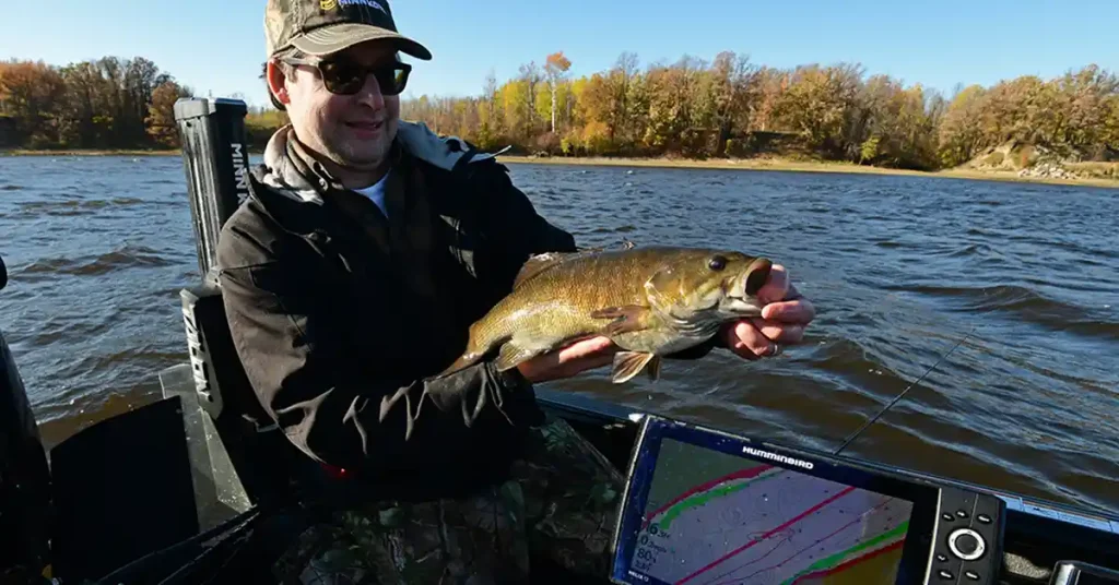 River Smallmouth Bass | Migrations | AnglingBuzz