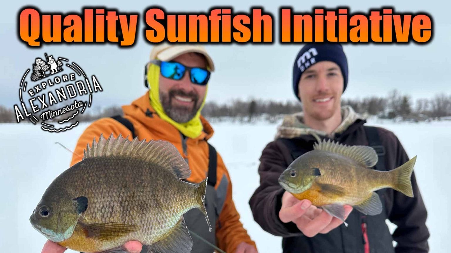 Quality Sunfish Initiative (Alexandria Area) | Angling Edge Buzz