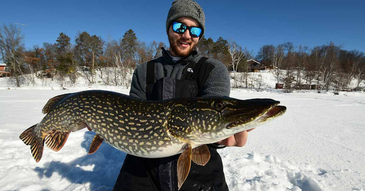 How To Tip-Up Fish For Northern Pike Angling Edge Buzz
