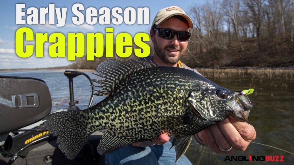 Early Season Crappie: Tips And Strategies | Angling Edge Buzz
