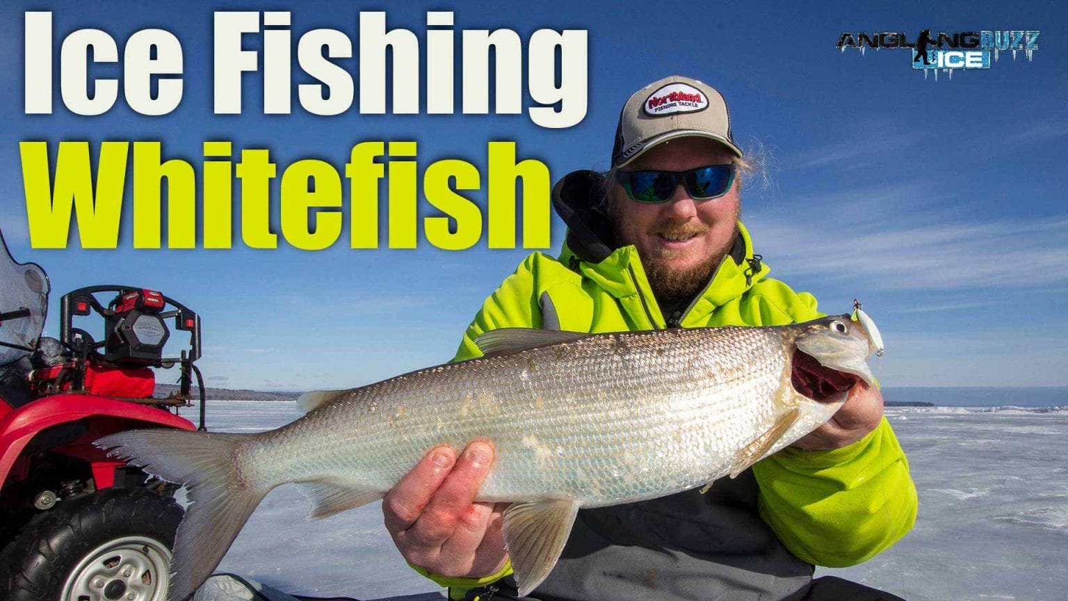 Ice Fishing Whitefish | Complete Guide | Angling Edge Buzz