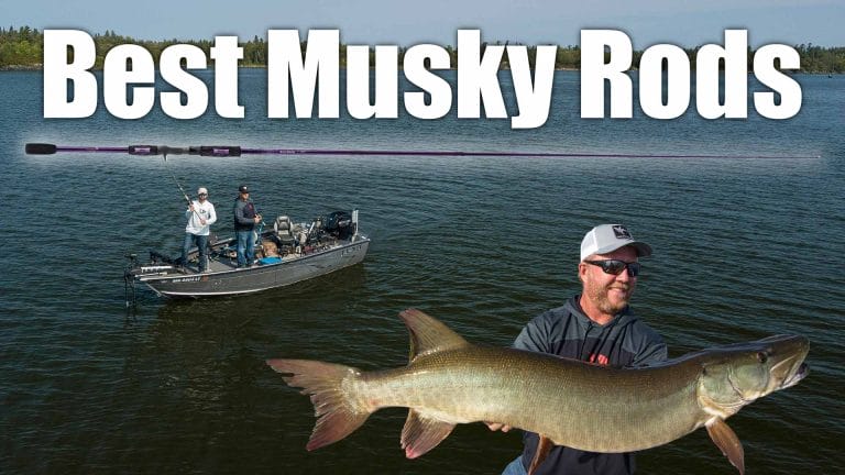 Top 5 Musky Baits | Musky Baits | Angling Edge Buzz