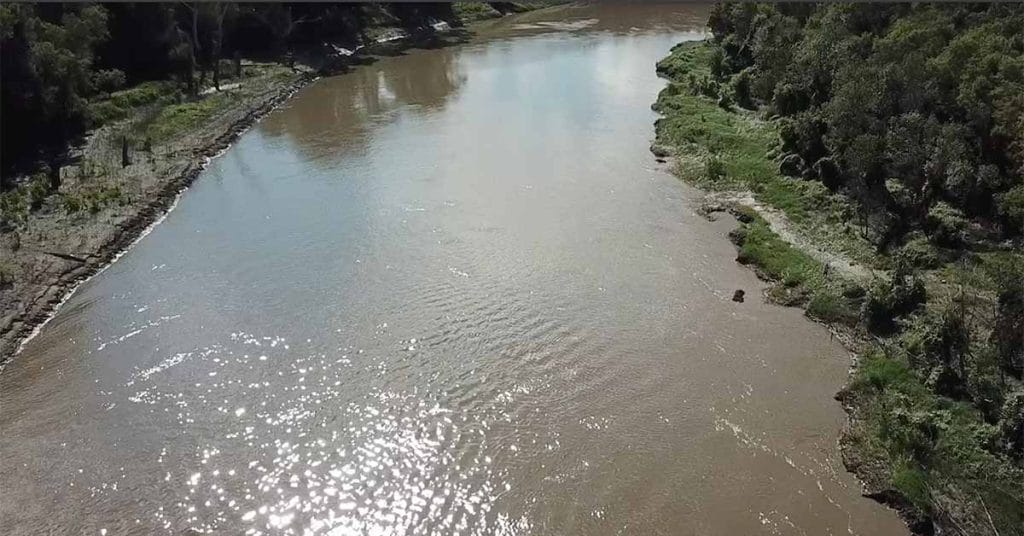 Red River Fishing Report: 6-4-24 Angling Edge Buzz